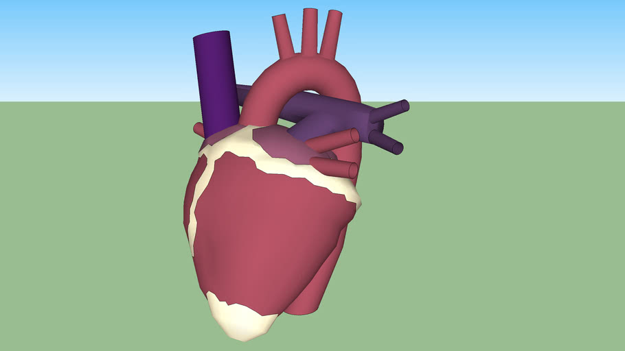 heart | 3D Warehouse