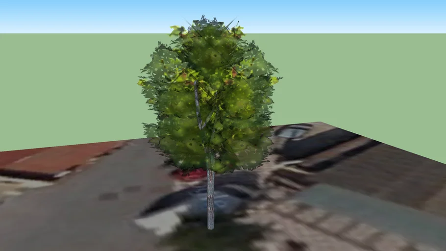 Arbre | 3D Warehouse