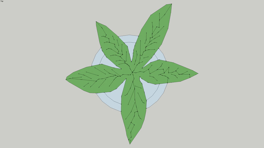 2D Potted Plant | 3D Warehouse