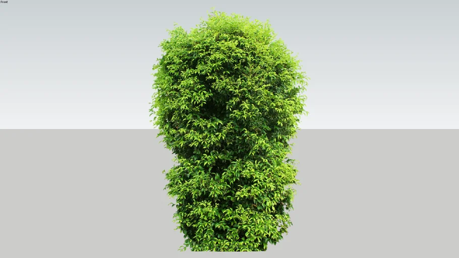 Sublime TM | 3D Warehouse