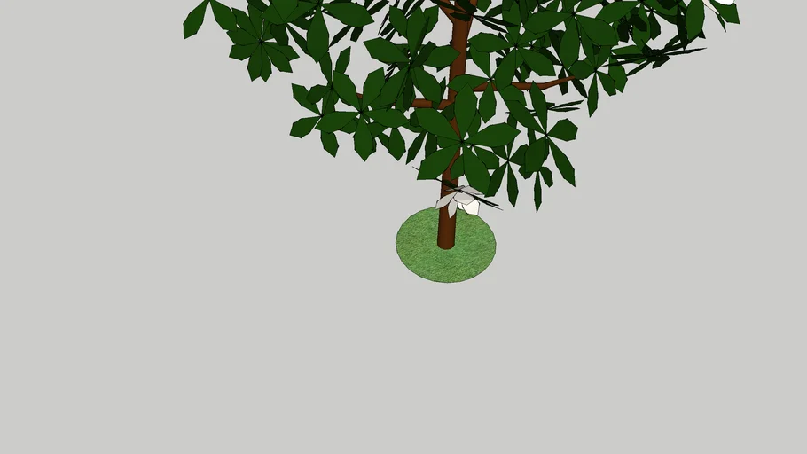 Basic Tree | 3D Warehouse