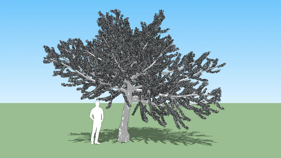 Sakura Tree | 3D Warehouse