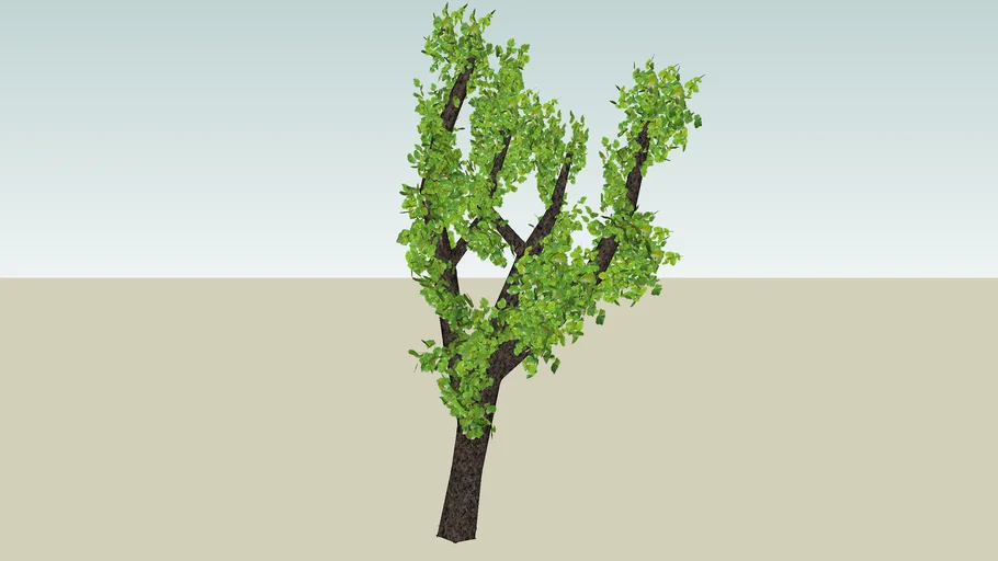 tree and plant 15 | 3D Warehouse