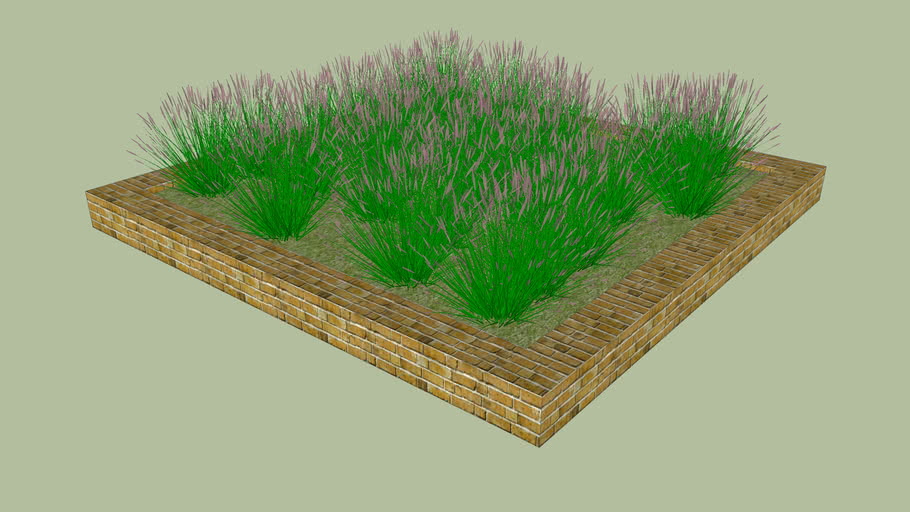 Grass | 3D Warehouse