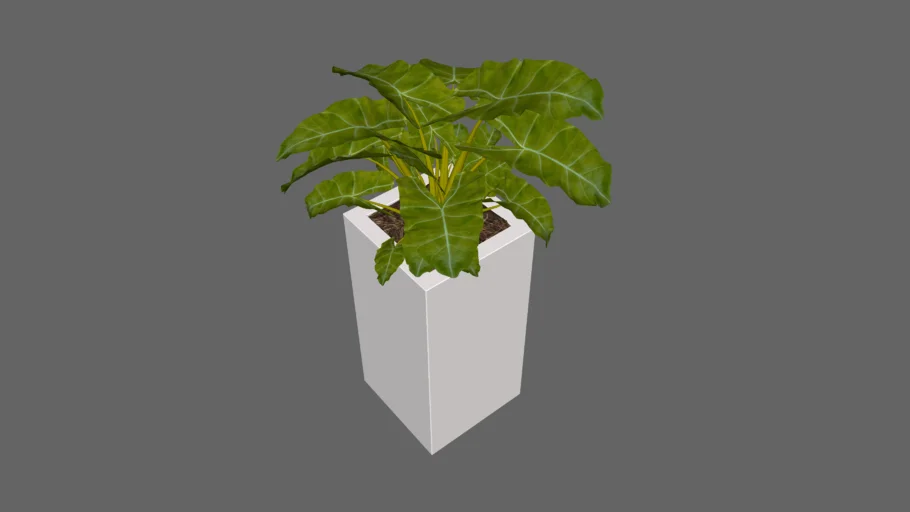 Vase with plant | 3D Warehouse