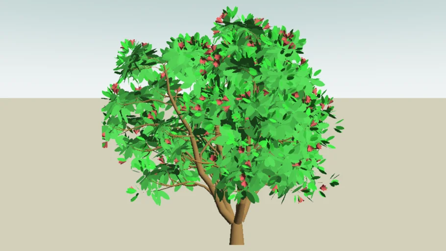 Rhododendron, red | 3D Warehouse