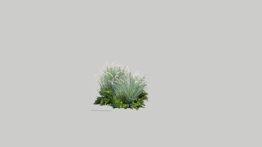 REED GRASS | 3D Warehouse