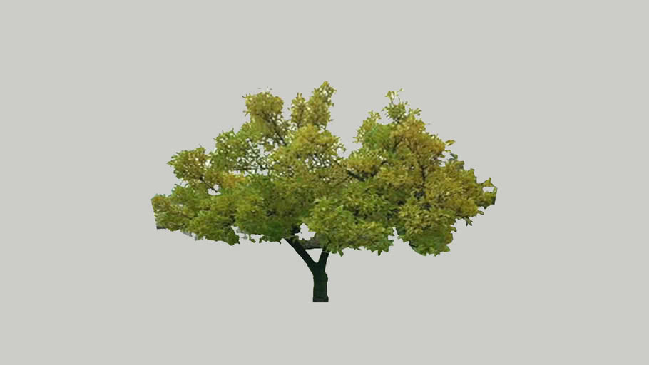 plants 2d | 3D Warehouse