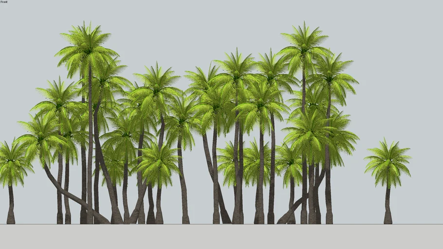LANDSCAPING+Coconut+Trees | 3D Warehouse