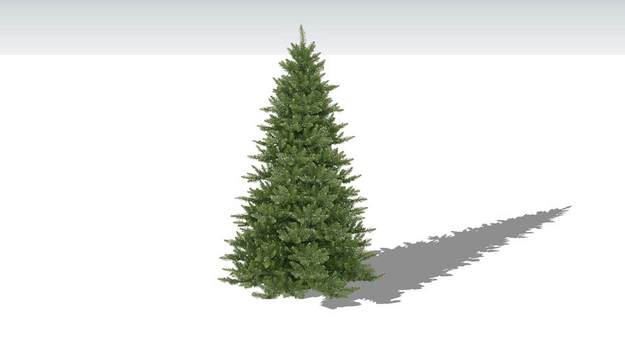 spruce (Korean) 2D. | 3D Warehouse