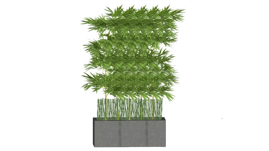 Bamboo and Reed in Modern Planter by International Treescapes | 3D ...