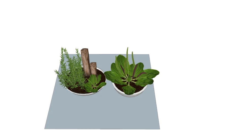 potted plants | 3D Warehouse
