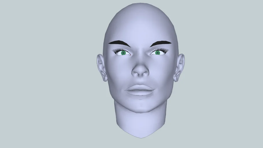 human head | 3D Warehouse