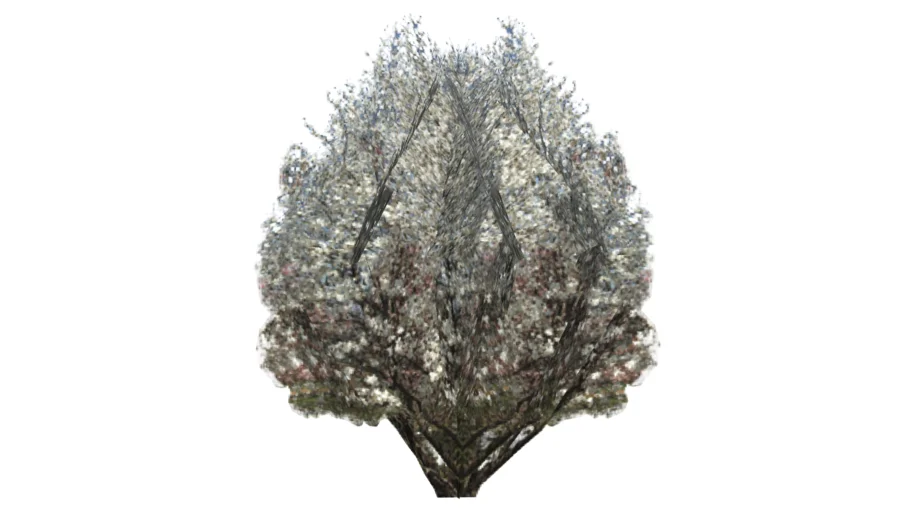 Low Poly Merrill Magnolia | 3D Warehouse