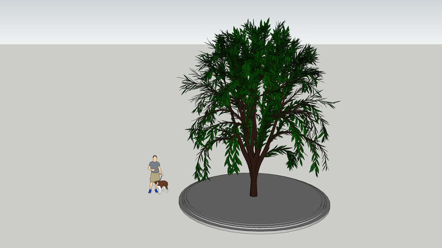 Fresh green tree | 3D Warehouse