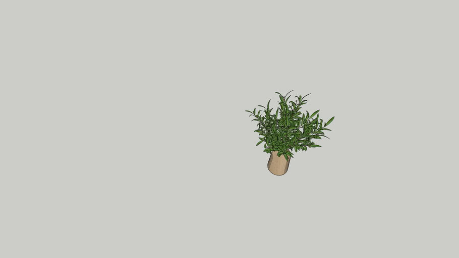 VASE AND GREENERY | 3D Warehouse