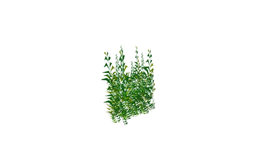 plant | 3D Warehouse
