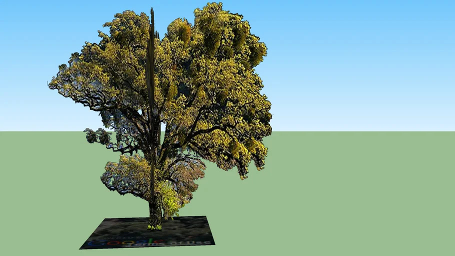 gumtree | 3D Warehouse