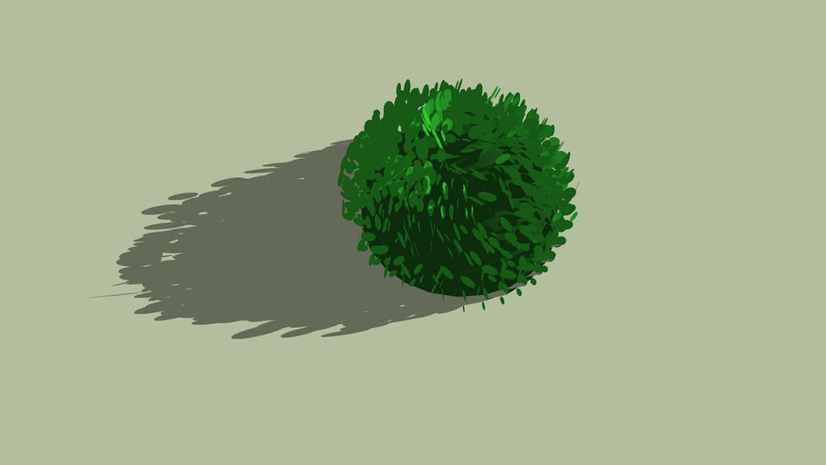 box tree | 3D Warehouse