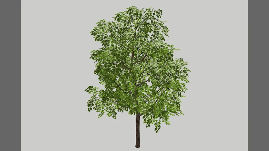 Cay 3D nhe - render nhanh | 3D Warehouse