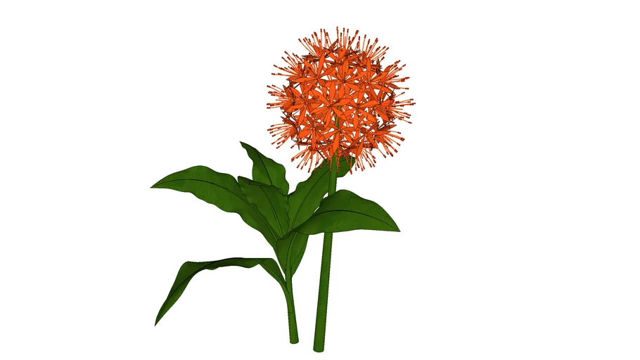 Hi-poly flower 07 | 3D Warehouse