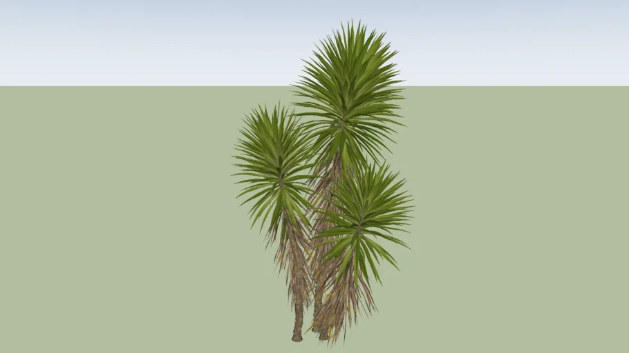 Yucca aloifolia | 3D Warehouse