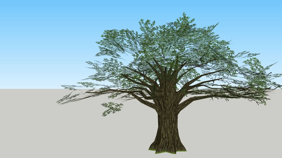 Inside the Moon - baum | 3D Warehouse