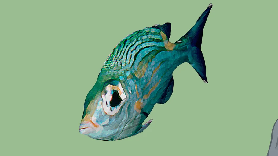 3D fish | 3D Warehouse
