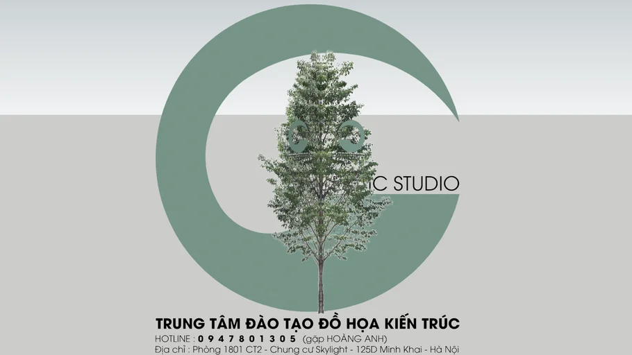 001_TREE_SKETCHUP | 3D Warehouse