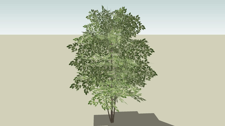 POHON POHONAN | 3D Warehouse