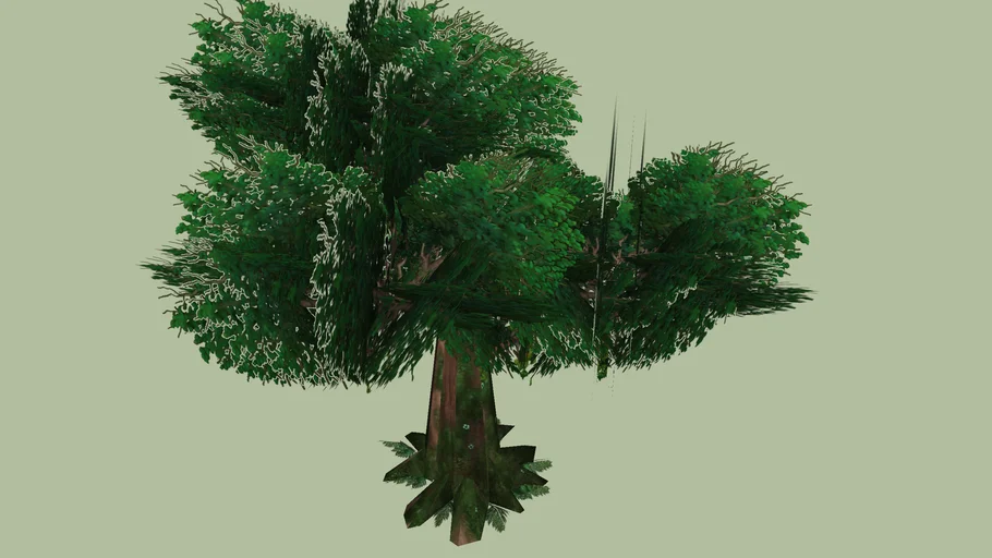 rainforest tree | 3D Warehouse