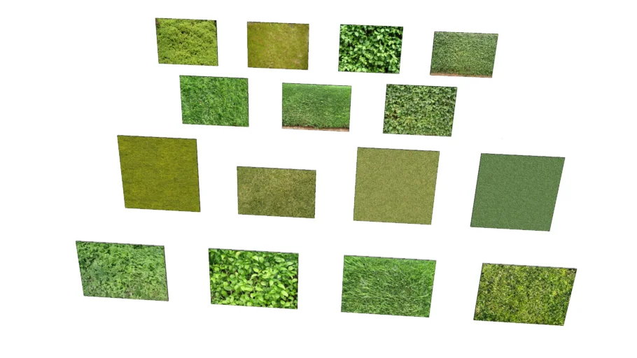 Grass, Lawn, and leaves textures | 3D Warehouse