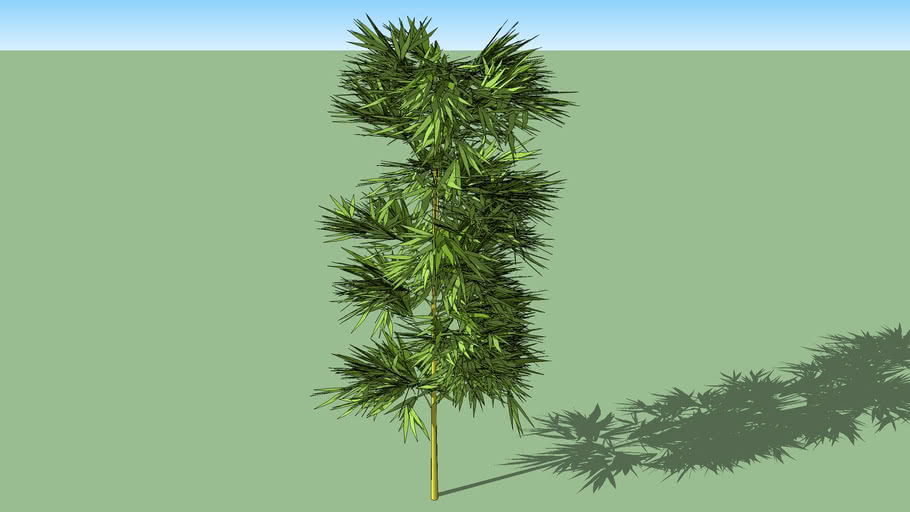 Pohon Bambu | 3D Warehouse