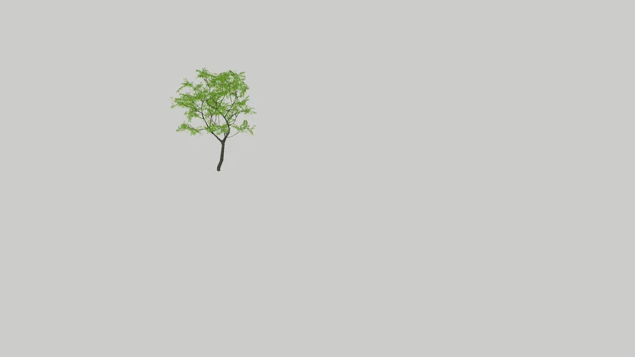 plants | 3D Warehouse