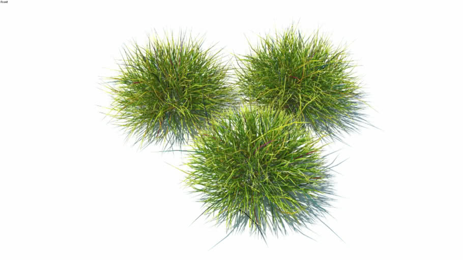 Grass_122.skp | 3D Warehouse