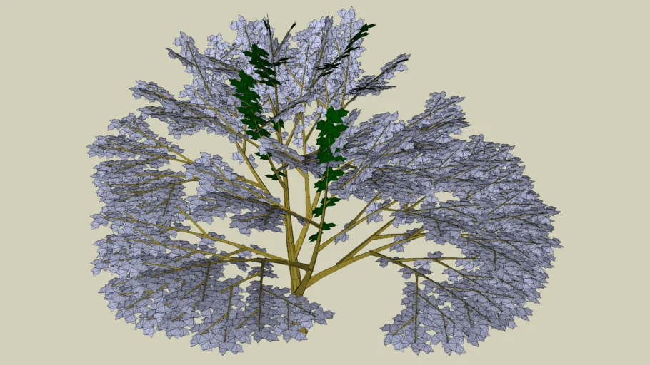 Maple Tree | 3D Warehouse