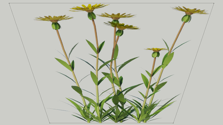 V-Ray proxy - Flower | 3D Warehouse