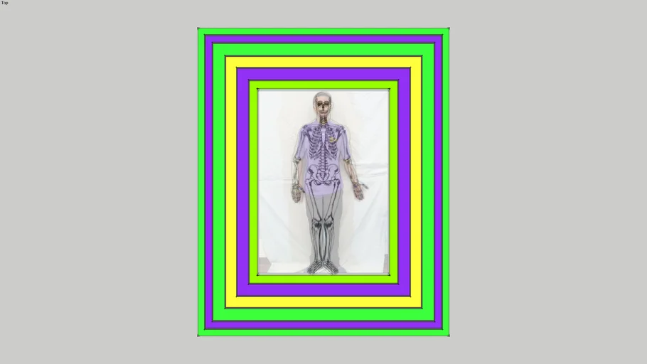 michael skeleton | 3D Warehouse