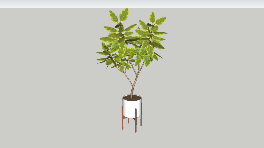 Vegetation 15 | 3D Warehouse