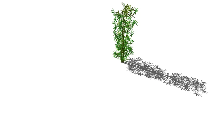 Bamboo rescale | 3D Warehouse