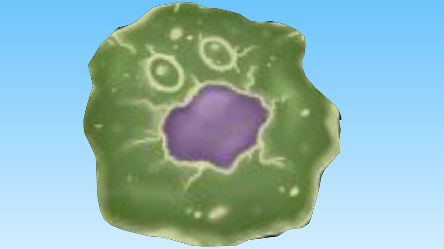 Amoeba | 3D Warehouse
