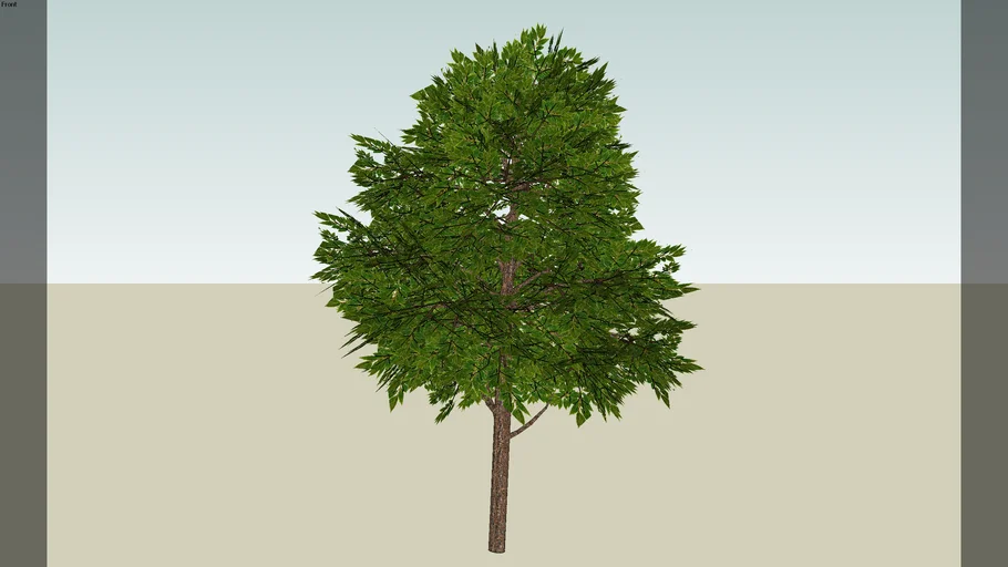 gfhfg | 3D Warehouse