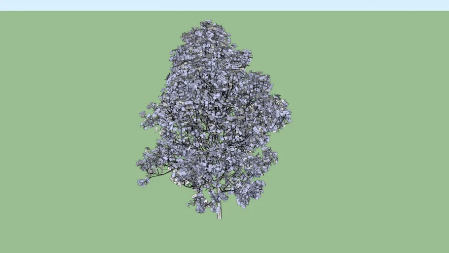 3D Tree | 3D Warehouse