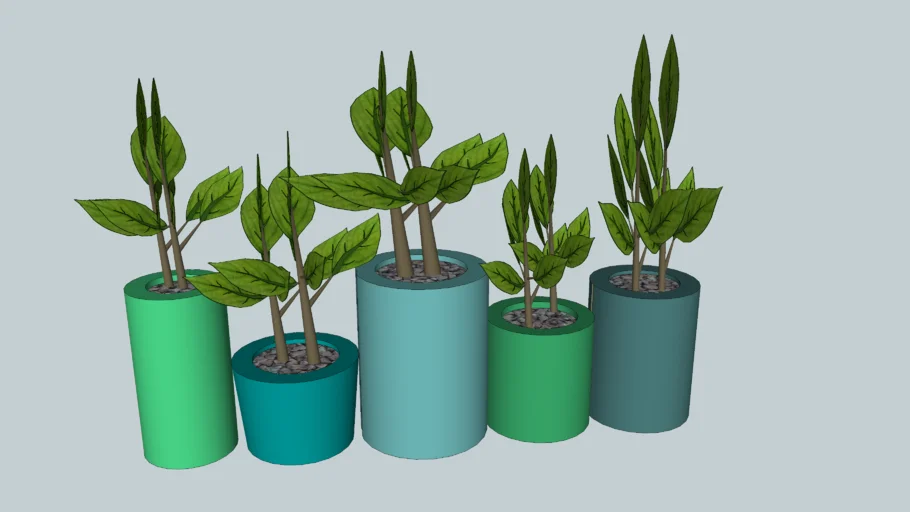 PLANTS | 3D Warehouse