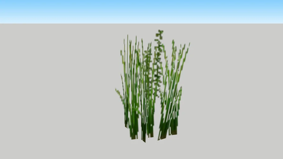 Grass | 3D Warehouse