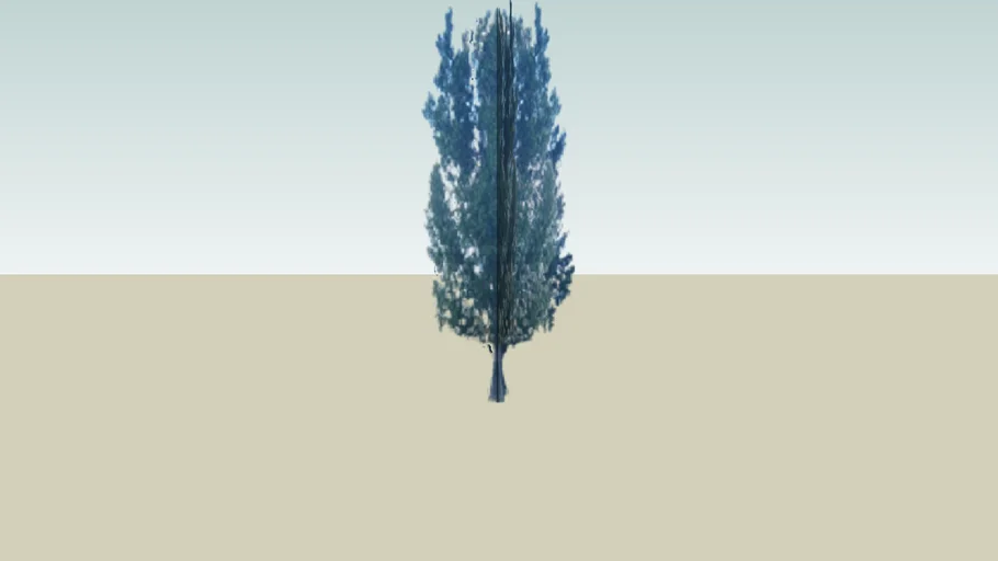 tree #3 | 3D Warehouse