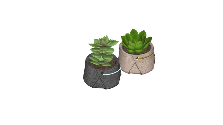 plant | 3D Warehouse