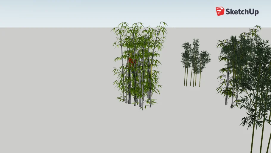 bamboo | 3D Warehouse