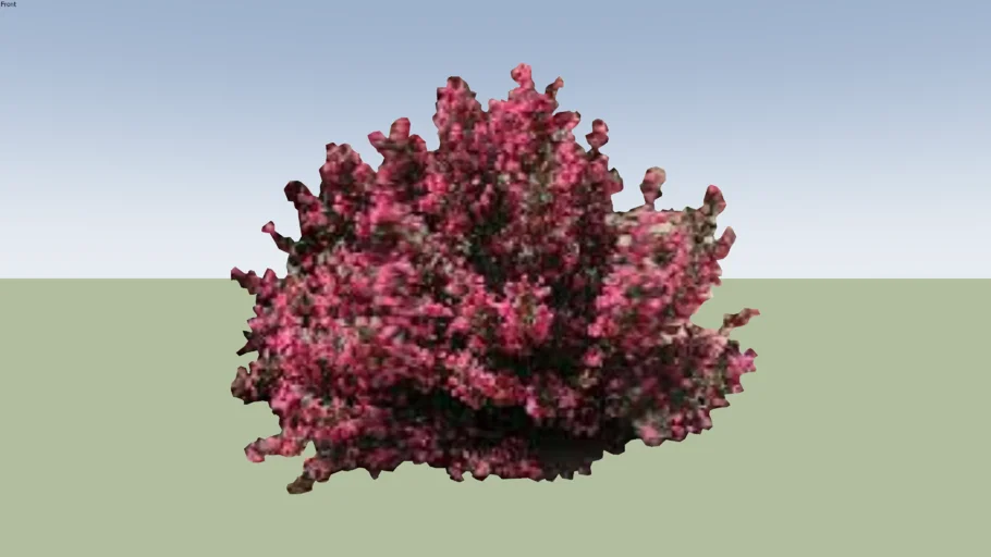 Weigela Dark Horse | 3D Warehouse