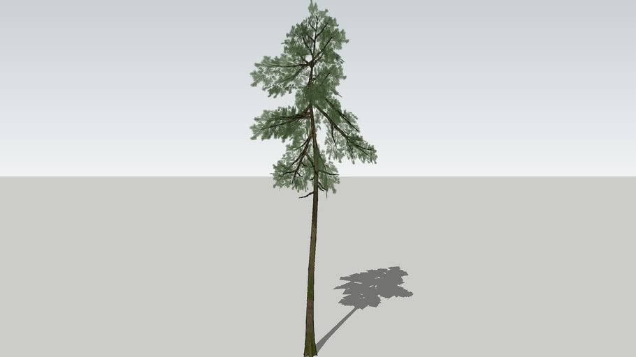 2.Tree | 3D Warehouse